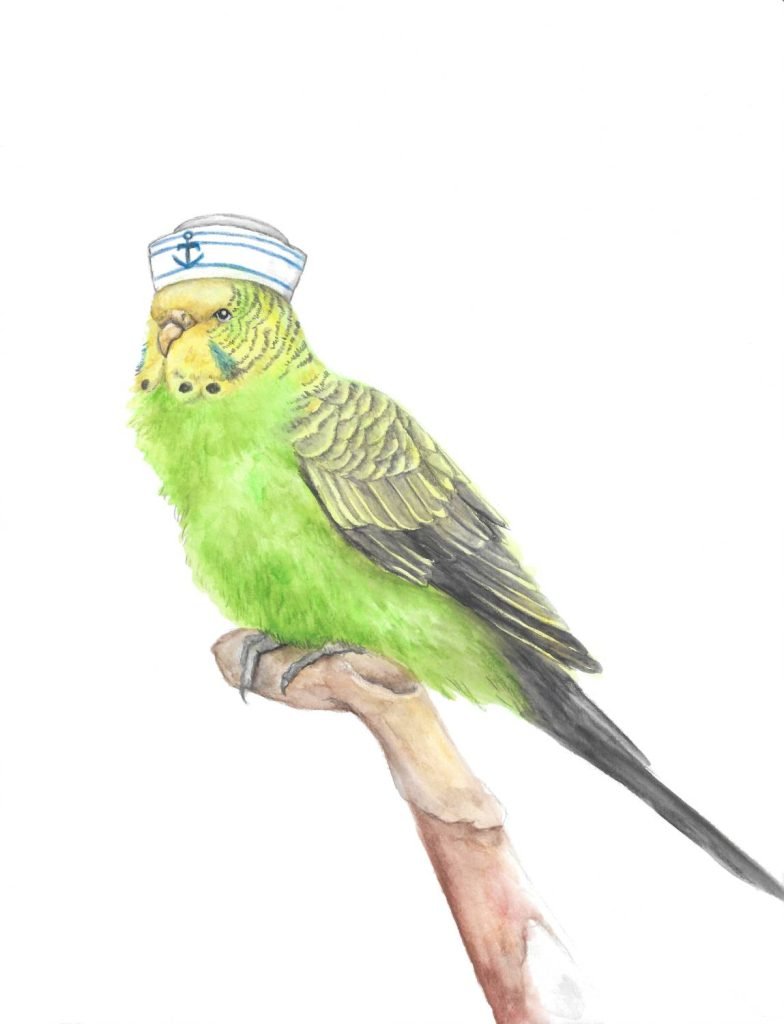 Birds with Hats ~ Kattakind Art